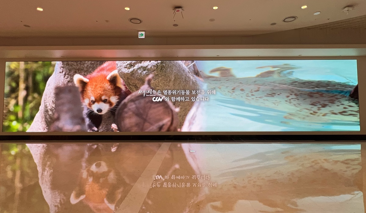 [CJ CGV] 레서판다 등 멸종위기 동물 보전 캠페인 S-LIVE 송출 1 – CJ미디어라이브러리