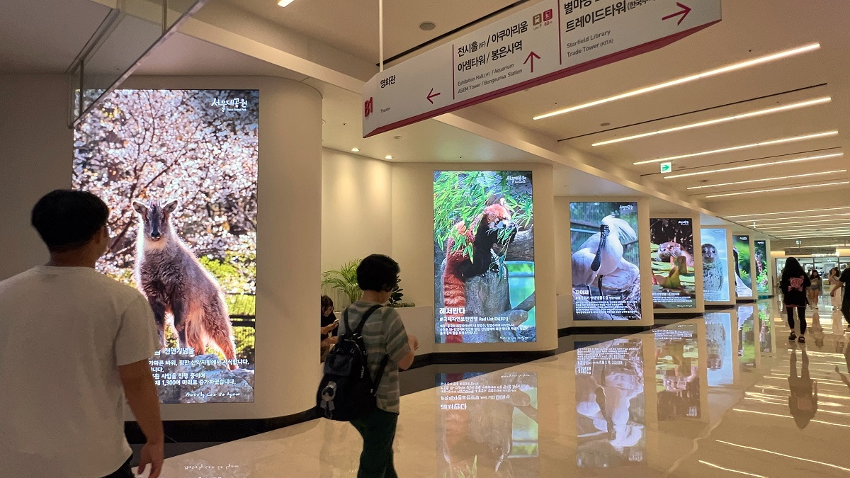 [CJ CGV] 레서판다 등 멸종위기 동물 보전 캠페인 S-LIVE 송출 2 – CJ미디어라이브러리